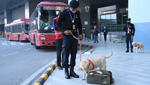 Get best specialized security services | RAXA