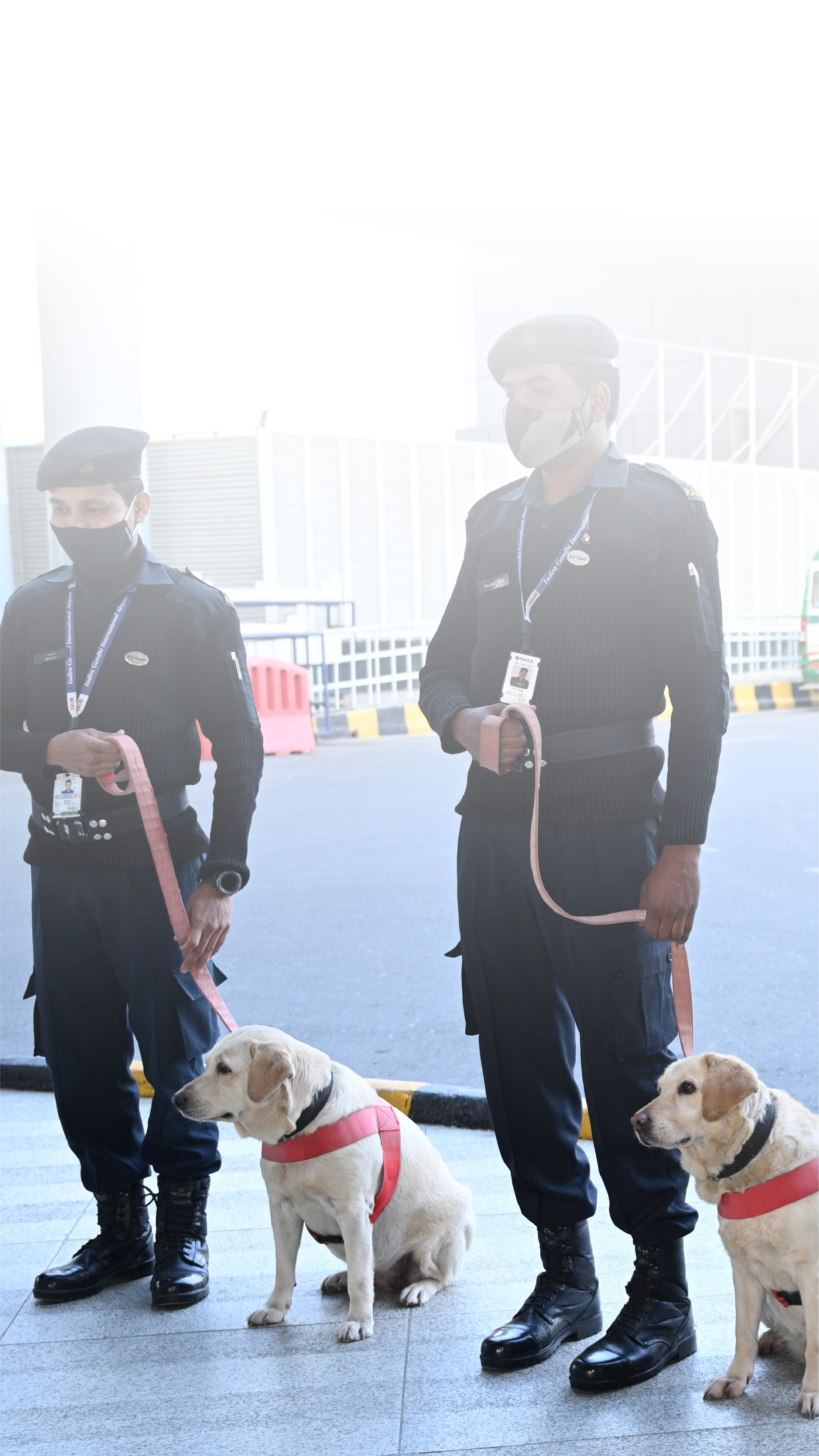 Get best specialized security services#R##N# | RAXA